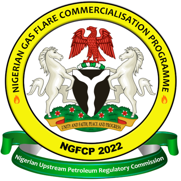 Programme Implementation Structure Ngfcp