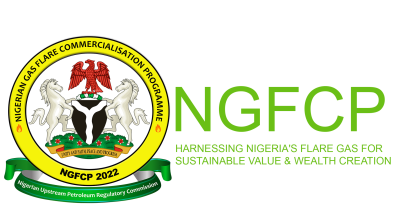 Programme Implementation Structure Ngfcp